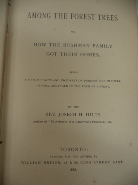 Among The Forest Trees, or, How The Bushman Family Got Their Homes ...