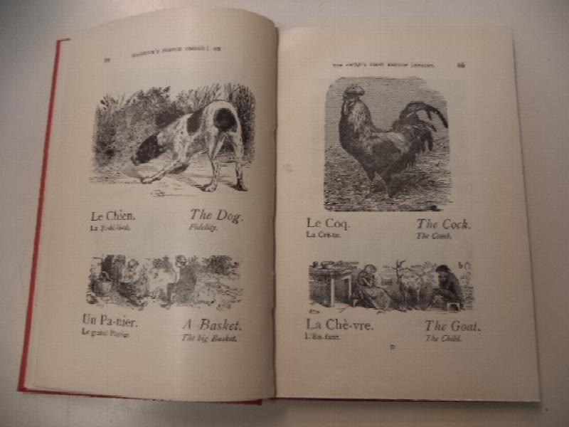 Hachette's Illustrated French Primer or the Child's First French Lessons